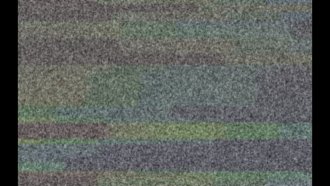 Panzoid