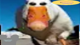 Panzoid